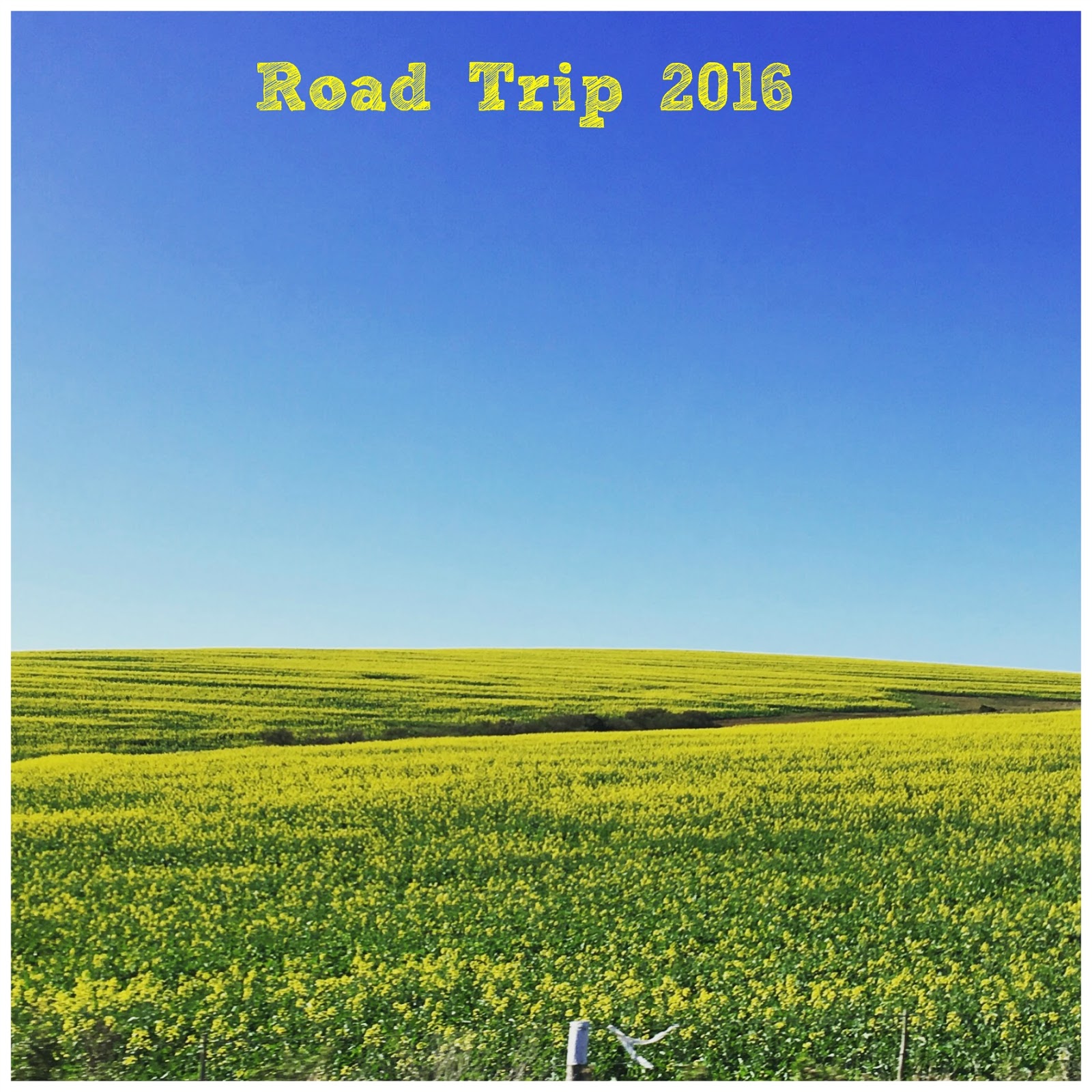 Favourite Things: Road Tripping...