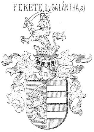 Bratislava County Nobility: Hungarian Family Heraldry