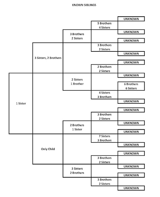 Denise's Genealogy Journey