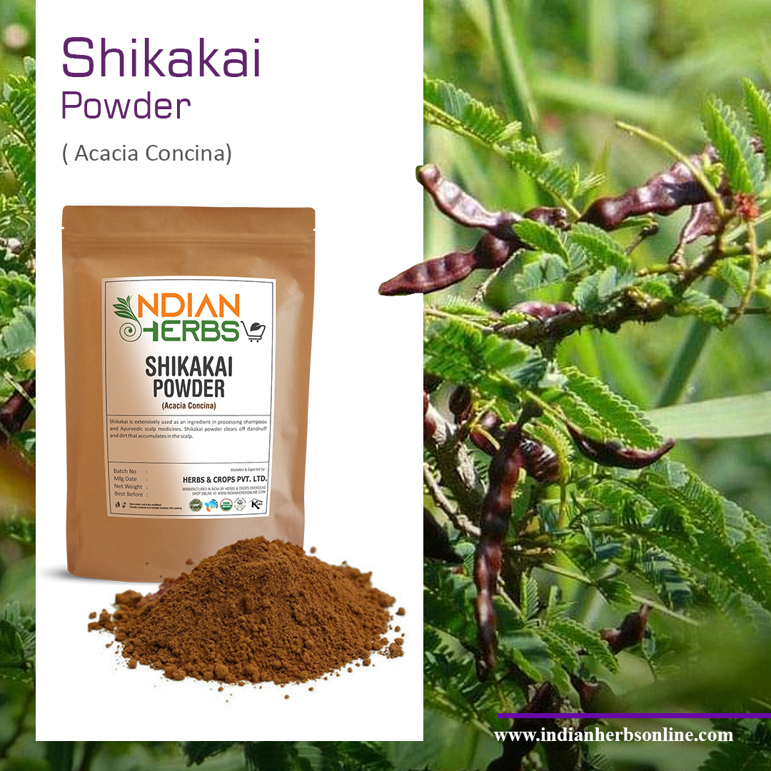 Shikakai Powder for Hair Growth | Buy Shikakai Powder Online
