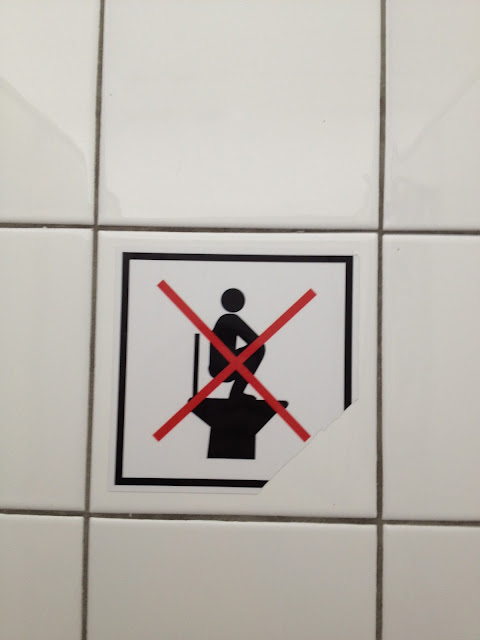 Via Fontanelle: YCMTSU--The Dreaded Italian "toilet"