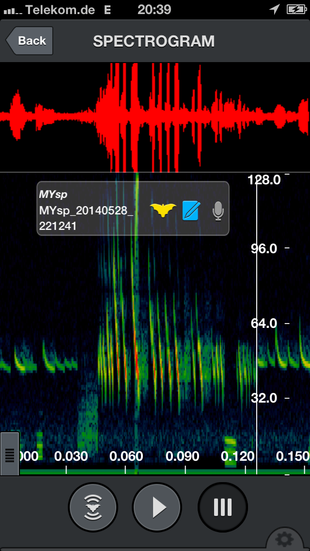 Birds & Bats: A New Bat Call Recording from the Garden of Schwetzingen ...