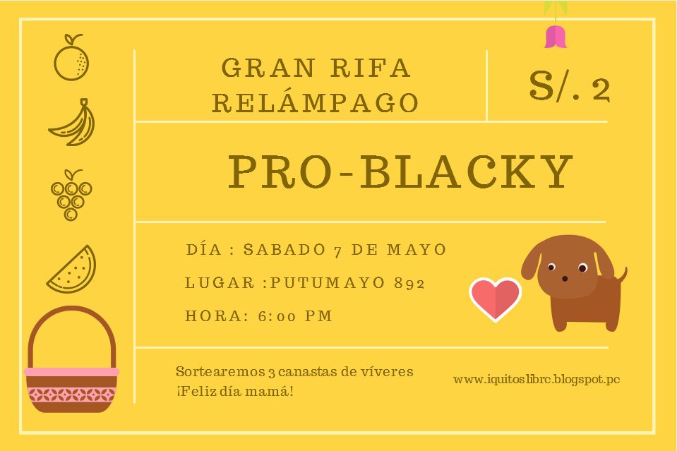Iquitos Libre de Crueldad Animal: Rifa relámpago pro-Blacky