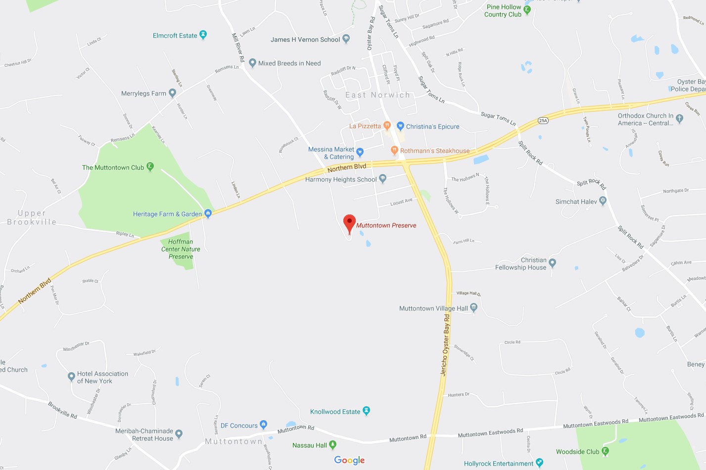 A Mike Who Likes to Hike