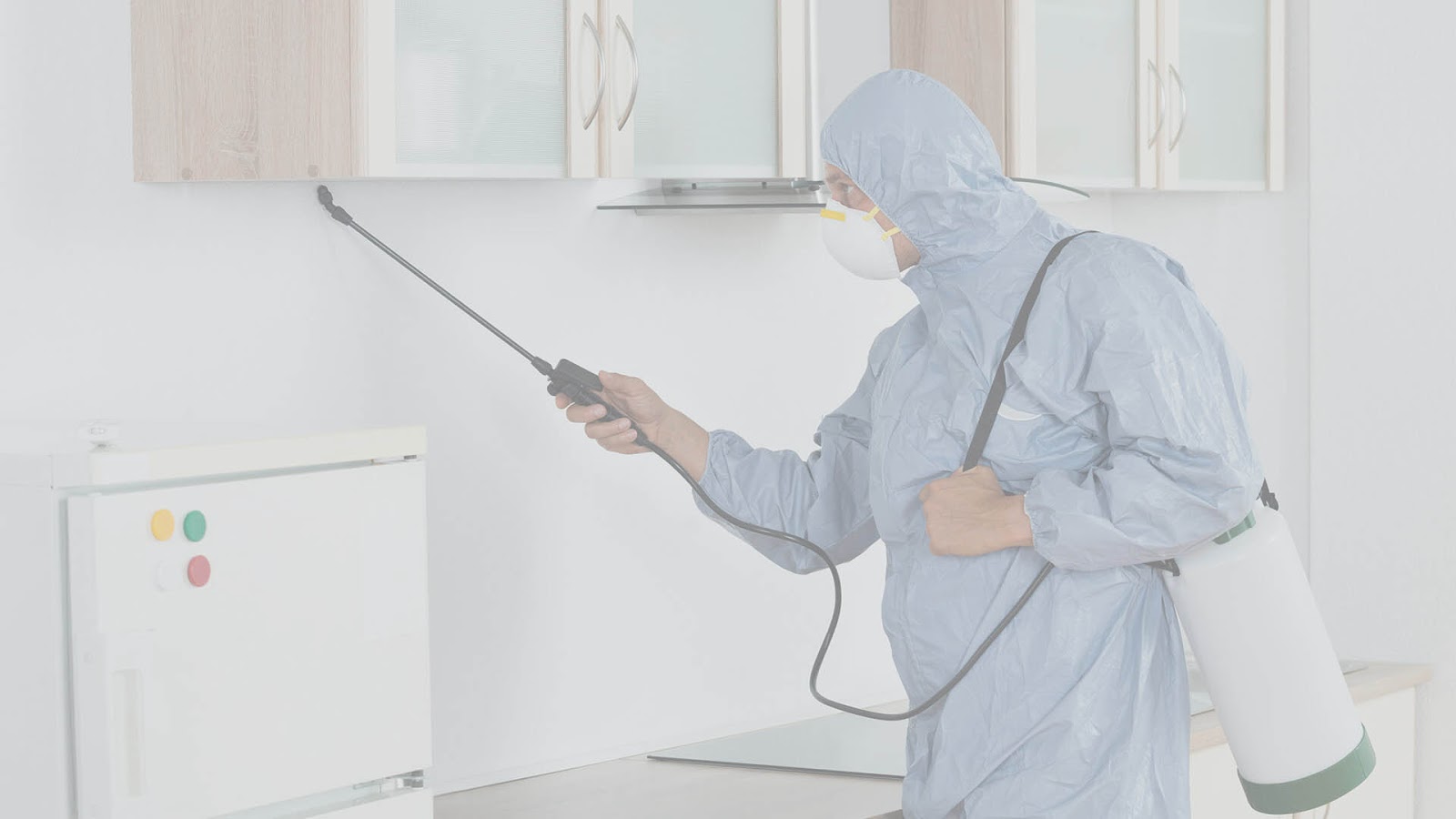Key Benefits Offered by a Professional Pest Control Company