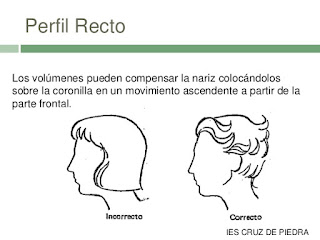 TIPOS DE PERFIL (Rostro)