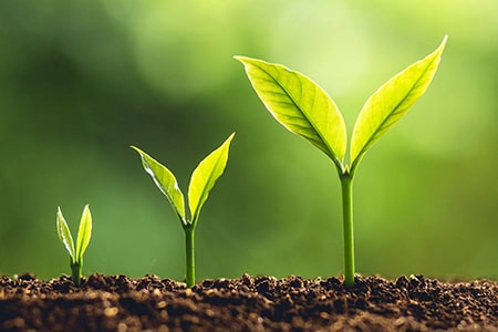 Organic fertilizer liquid - Agro organics