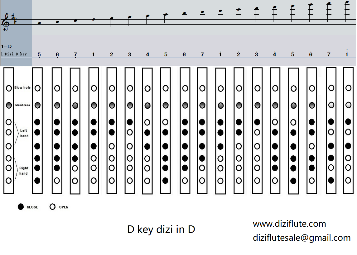 Paul Dizi Notes: 2019