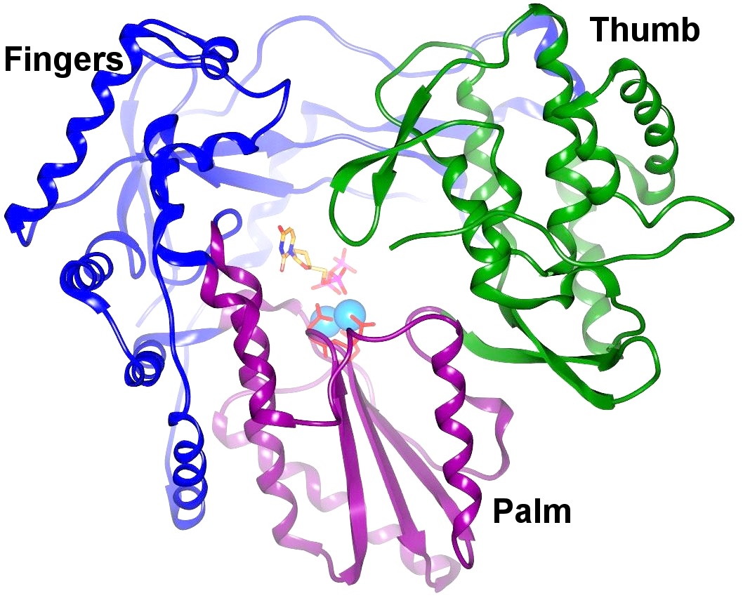 Flop Bott: FOLD IT! RNA strands- not laundry!