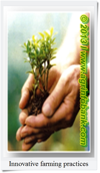 Innovative farming practices: Why and How? | Farming: Feed the hungry world