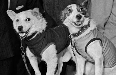 La Escalera de Iakob: Pushinka, un cachorro soviético en la Casa Blanca