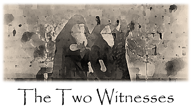 Biblical Perspicacity: Day 18 of Revelation Study: Chapter 11