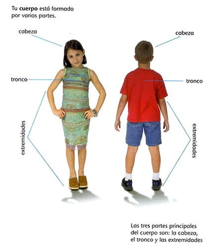 MI GRADO TERCERO: 6. EL CUERPO Y LA ACTIVIDAD FISICA