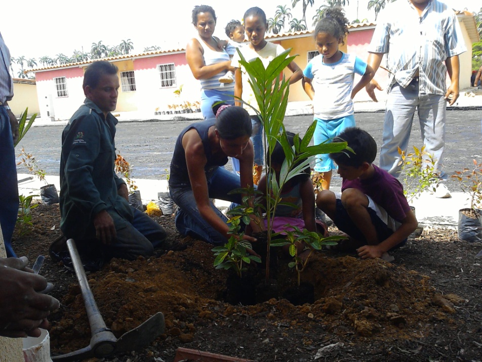 Parque Temático Bosque Macuto