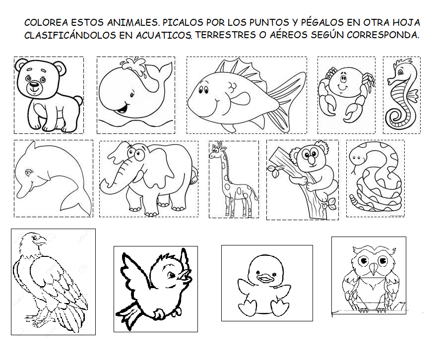 INFANTIL 4 AÑOS LOS OSOS : LOS ANIMALES. TERRESTRES, ACUÁTICOS Y AÉREOS