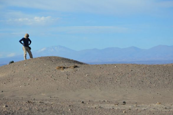 Pampa Iluga: El hallazgo que abrió la prehistoria del norte grande
