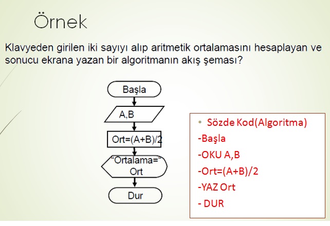 DERS 3 : ALGORİTMA ŞEMALARI ÖRNEKLER PROBLEMLER ÇÖZÜMÜ | PROGRAMLAMA ...