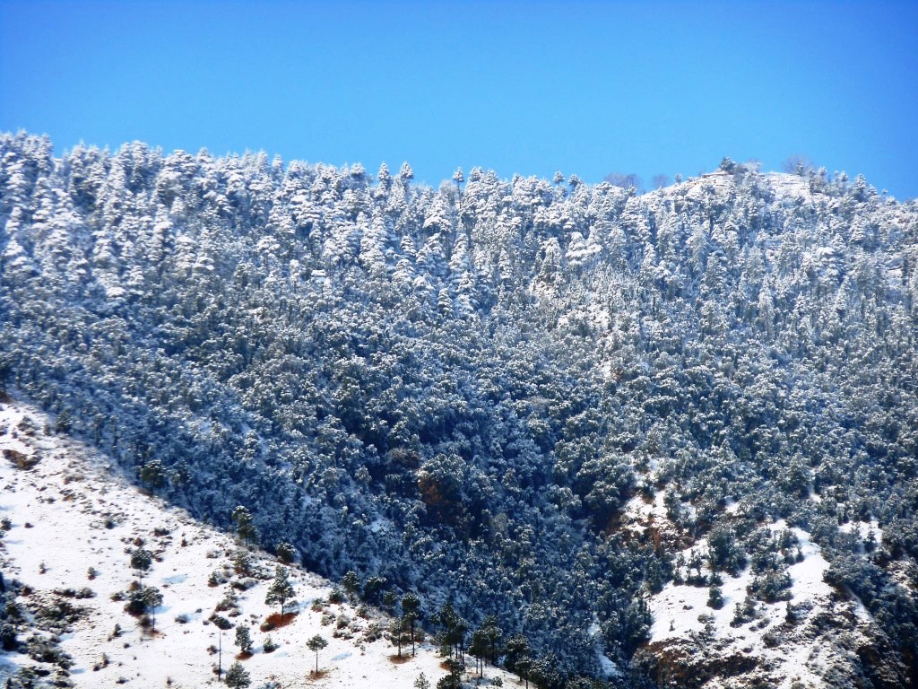 पुष्‍पांजलि: प्रकृति मां