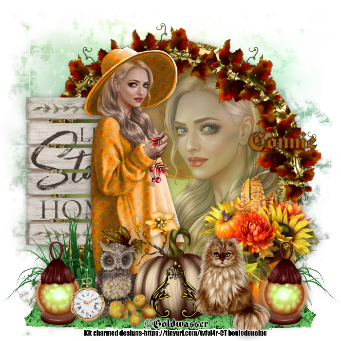 BOULEDENEIGE ET SES CT: CHARMED DESIGNS