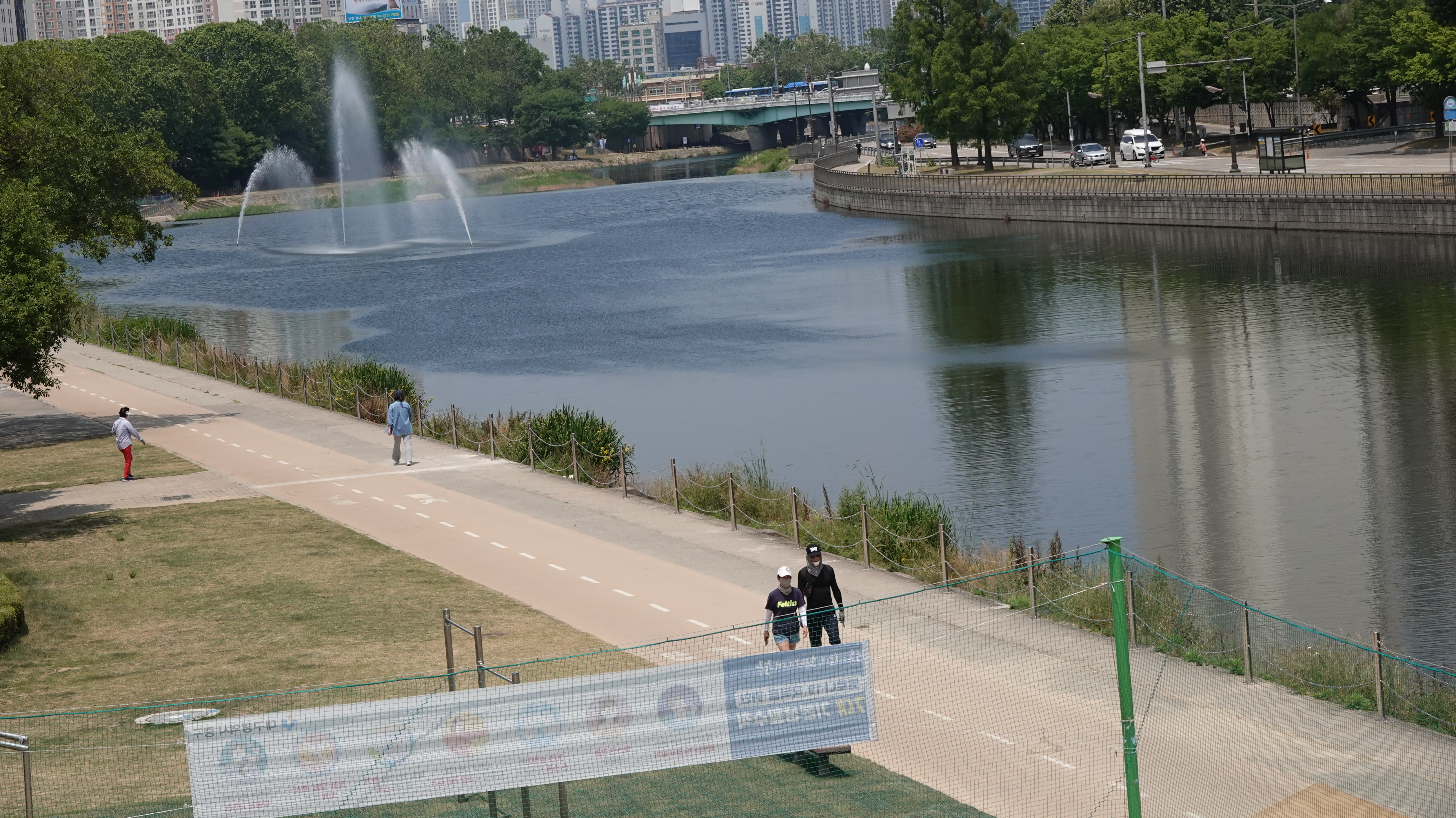 Shall we walk along the Sincheon river trail in Daegu?