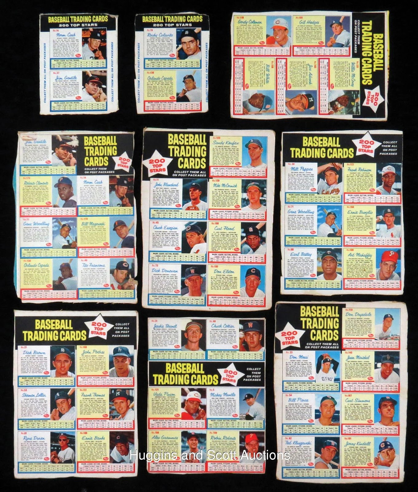 Baseball Card Back Side