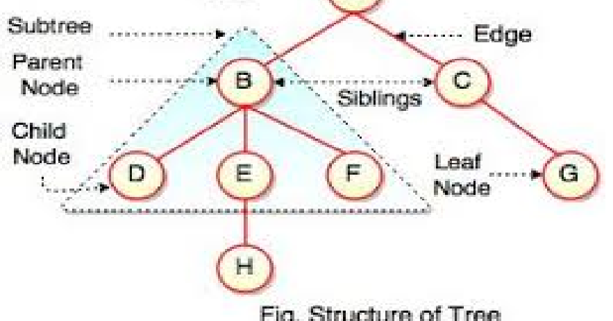 Data Structure: Trees