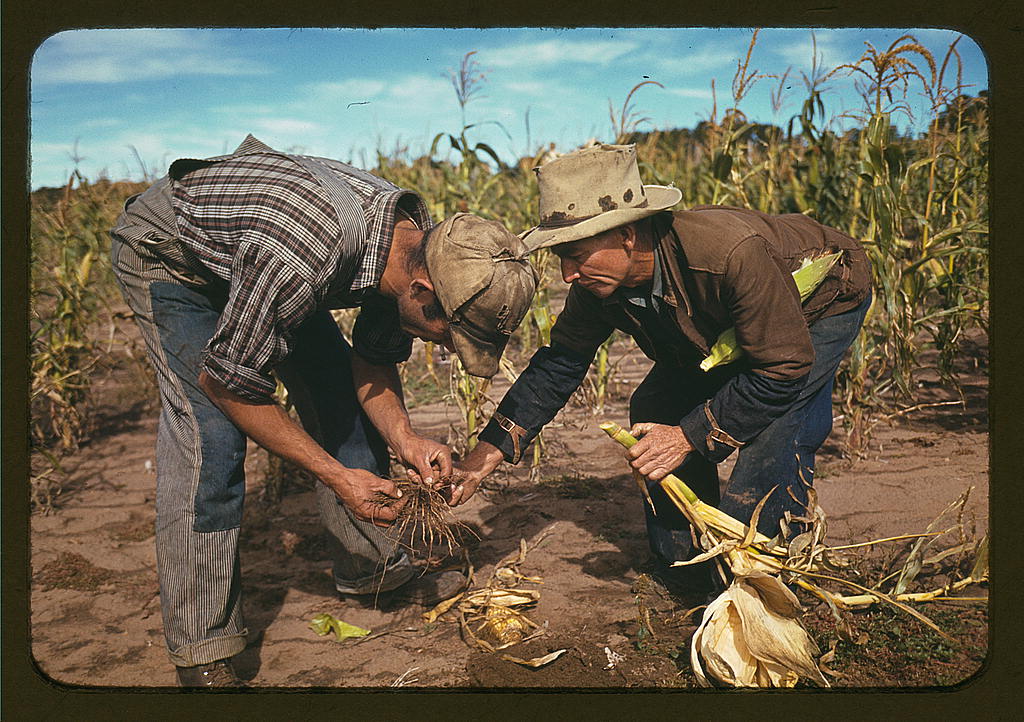 19 Amazing Color Photos of American Farmers in the early 1940s ...