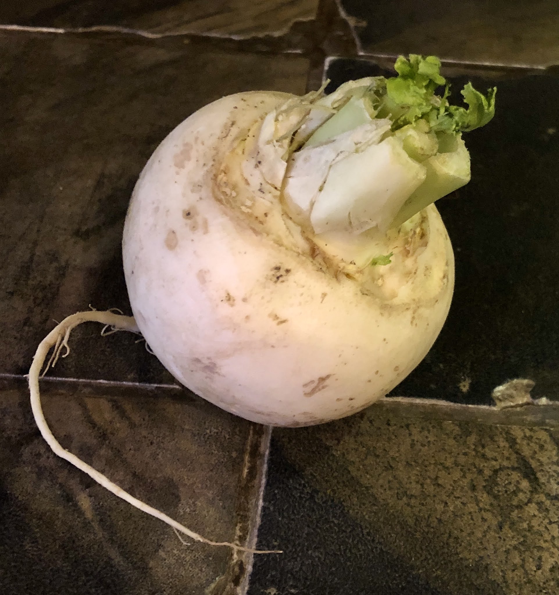 Japanese turnips