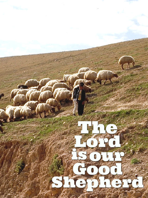 What Is A Good Shepherd In The Bible