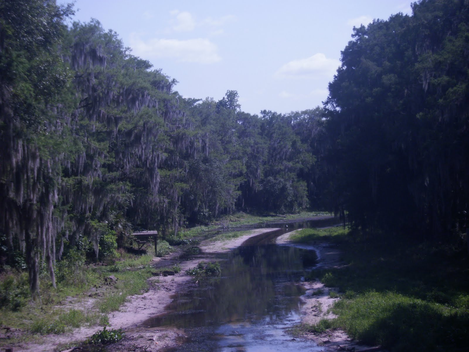Looking Toward Portugal . . . .: Cracker Chidlings: Dispatches from the ...
