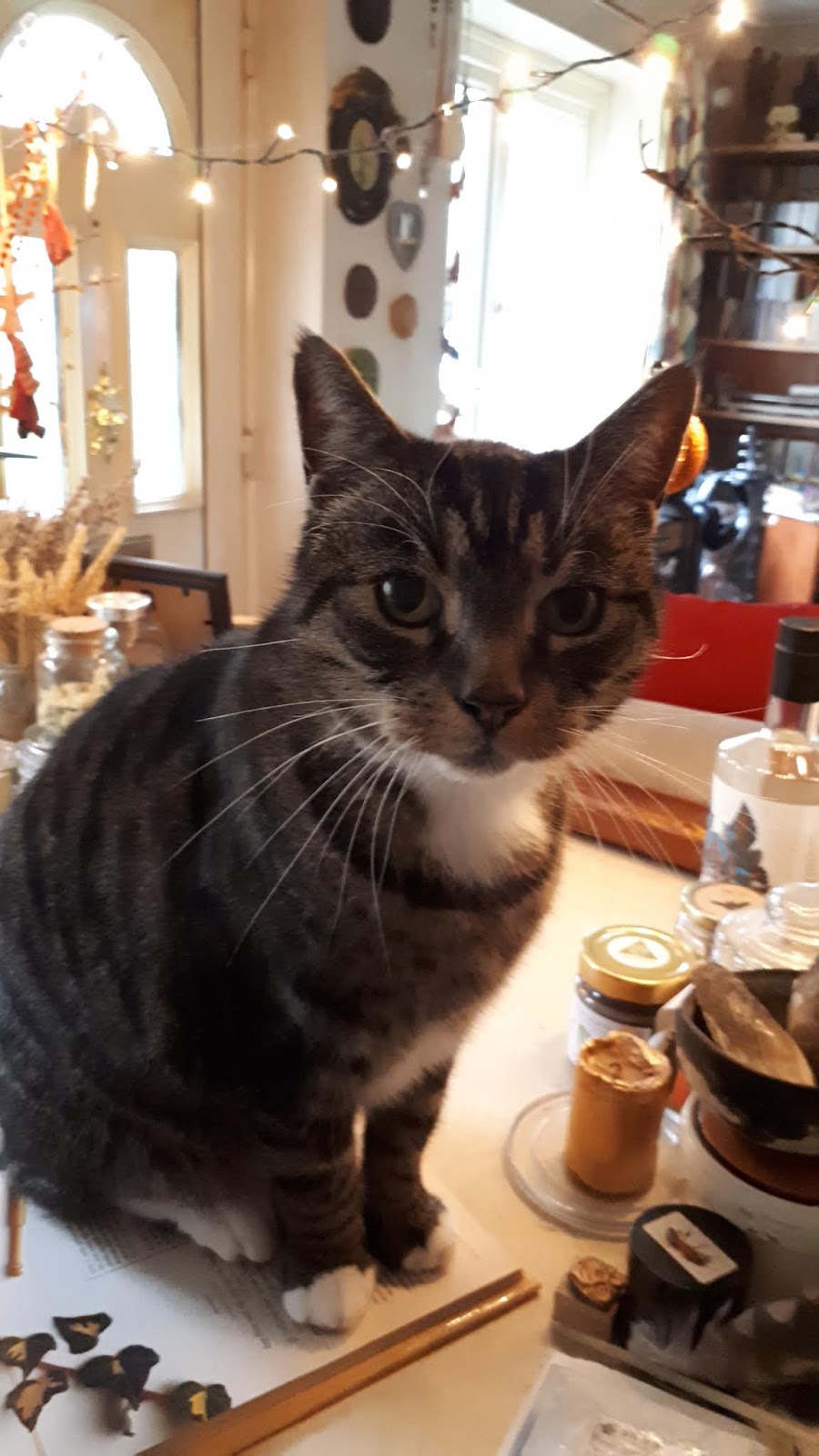 Radical Honey: Making Cattern Cakes ~ Celtic Advent Day 9