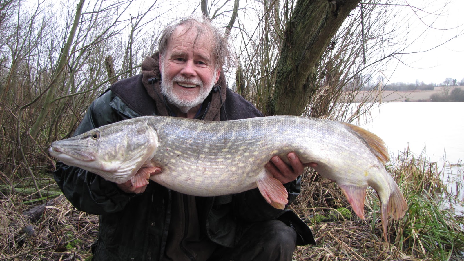 Travelling Man: Golden moments with very big pike.