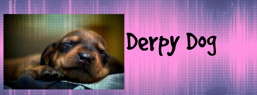 The amazing Derpy dog: Main Characters