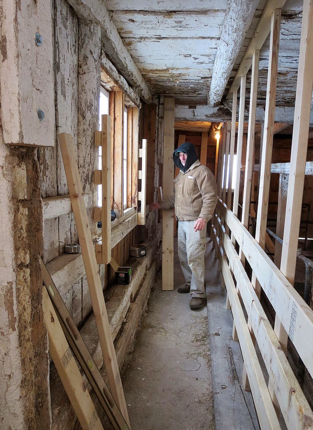 Windswept Adventure: Building A Cattle Squeeze Chute
