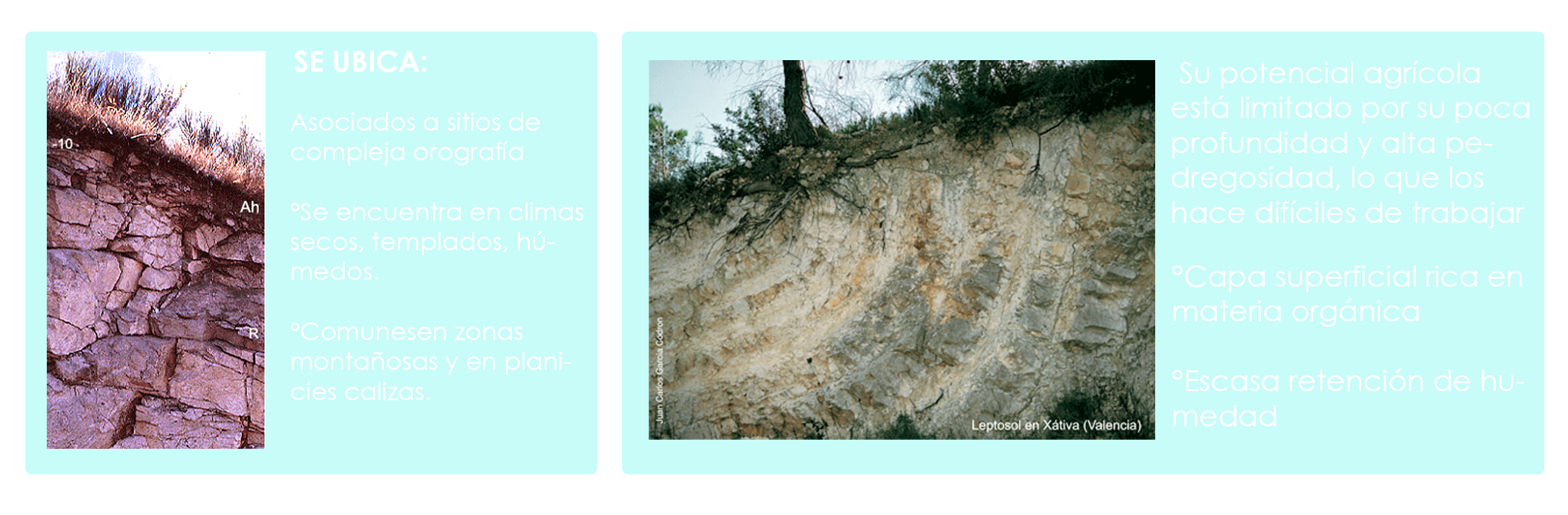 Tarea tipos de suelo