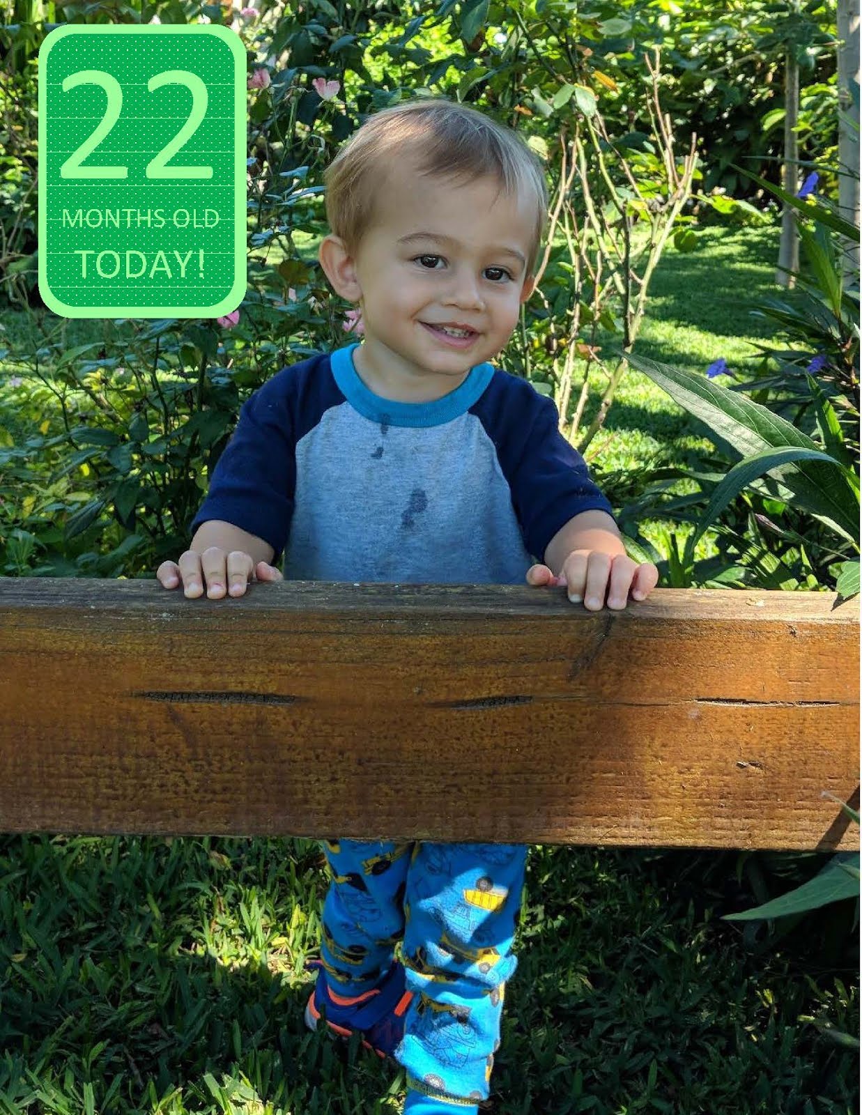 KT Baby - Gordy Kaiea Sells: 22 months old