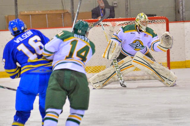 UAA Seawolves Hockey Fan Blog: What I Love About Our Sophomores