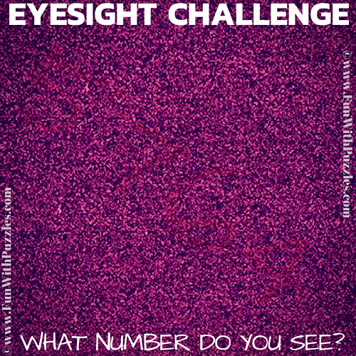 What Do Your Eyes See Puzzle | Hidden Number Puzzle