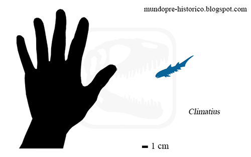 Mundo Pré-Histórico: Climatius, um peixinho espinhoso
