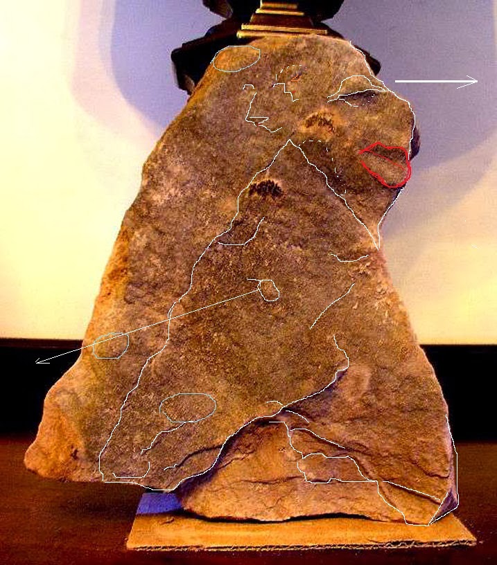 Archaeology of Portable Rock Art: Bird-human and horse head optical ...