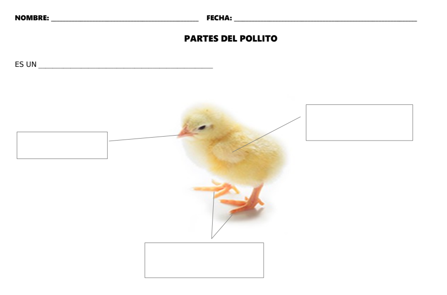 El rincón de Lola: PROPUESTA ACTIVIDADES INFANTIL, MARTES 14 ABRIL