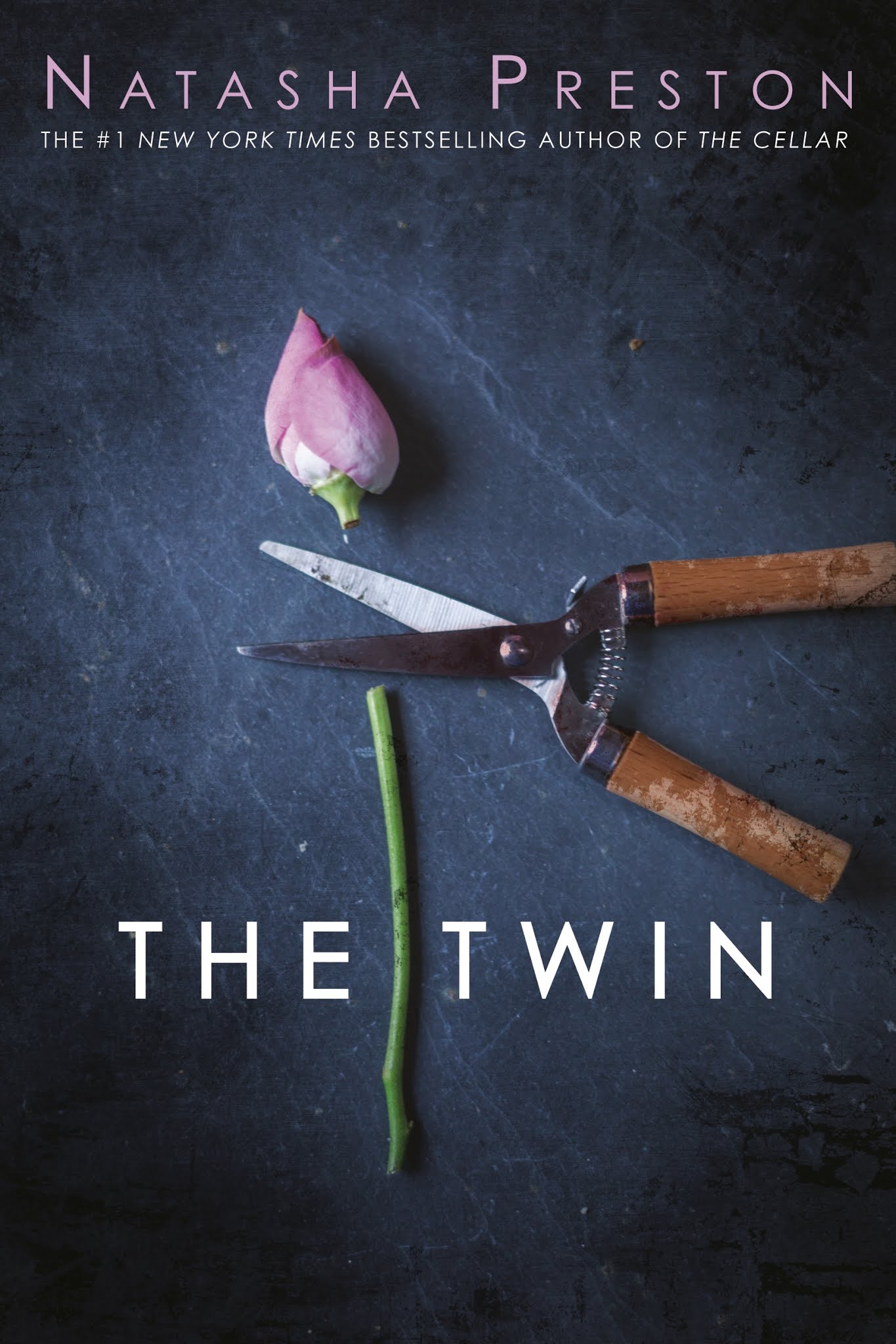 Kids' Book Review: Review: The Twin