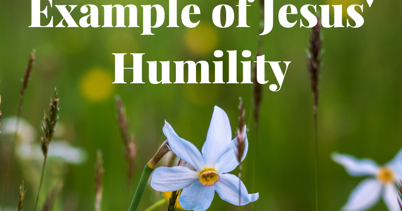 Woman to Woman: The Beautiful Example of Jesus' Humility