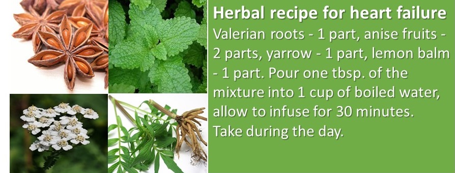 Congestive Heart Failure and Herbal Remedies