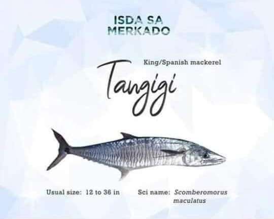 Ibat-Ibang Klase ng Isda at Iba Pang Laman-Tubig na Karaniwang Mabibili sa Palengke sa Pilipinas ...