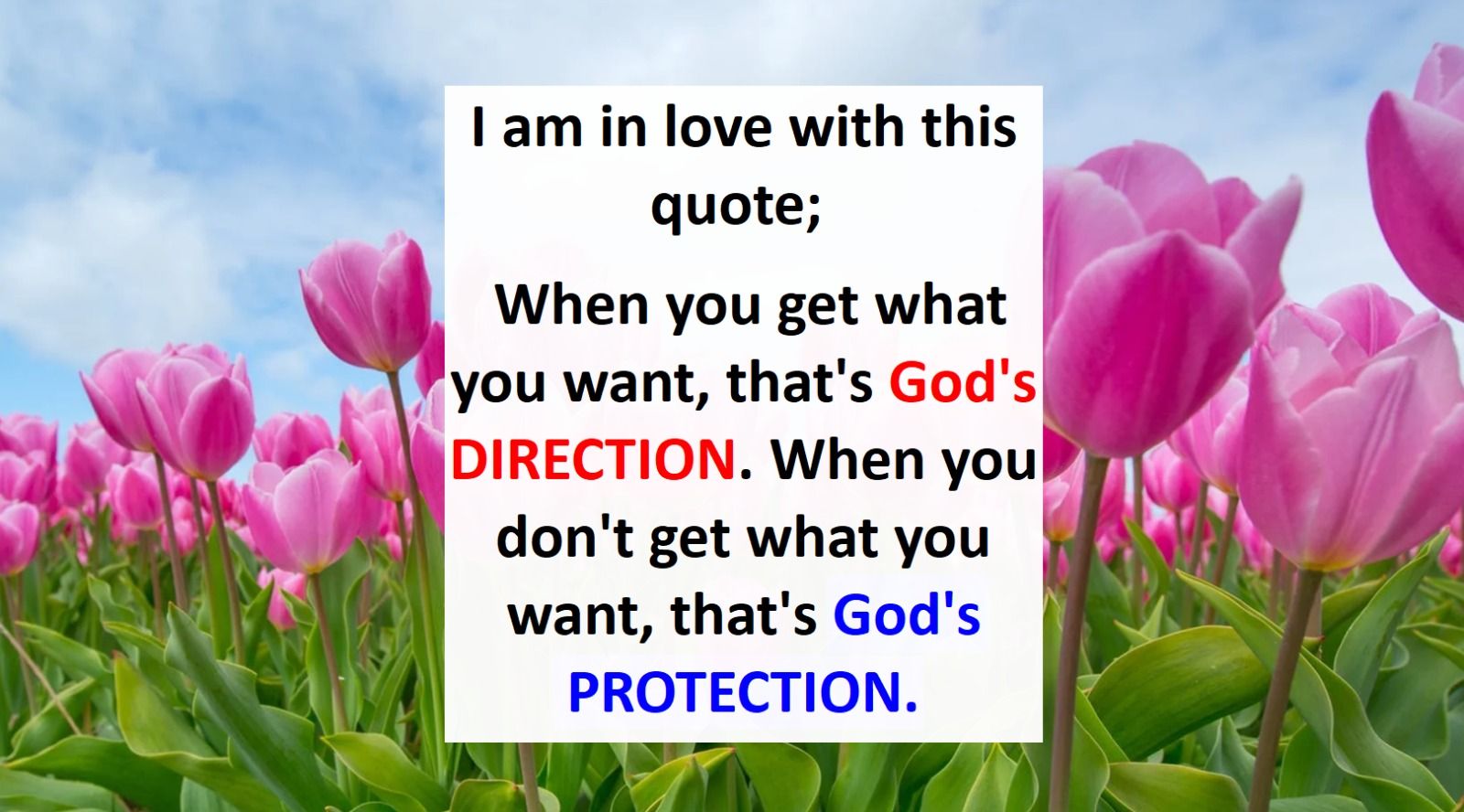 God will Direct Your Path - Proverbs 3:6