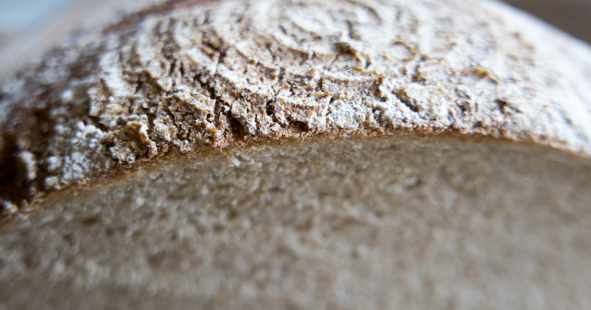 Taste of the Week. Arbutus Bread