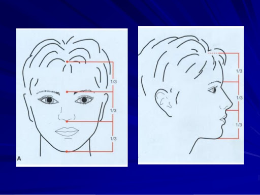 TIPOS DE PERFIL (Rostro)