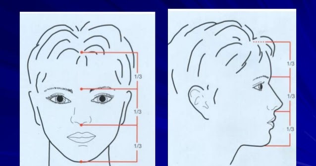TIPOS DE PERFIL (Rostro)
