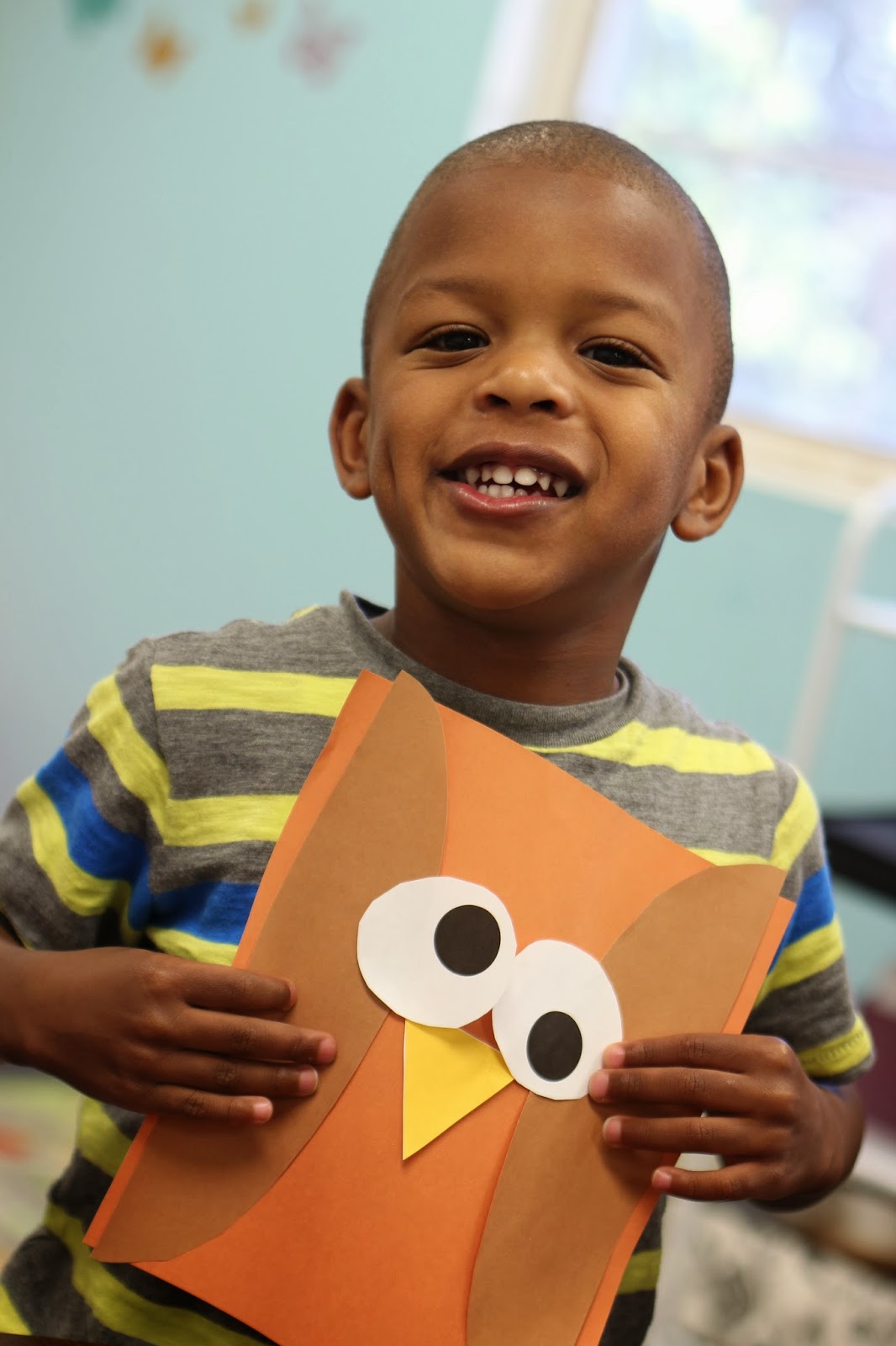 Teach Them To Fly: Shape Owls